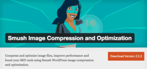 9 Reasons Your WordPress Site Has Slow Response Time