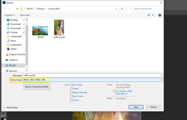 JPG vs JPEG Image Formats: Which is Better?