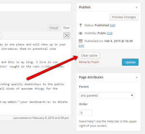 How to Clear WordPress Cache (Tutorial + Plugins) | WP Buffs