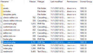 Easy Guide on How to Edit Functions.php in WordPress | WP Buffs | WP Buffs